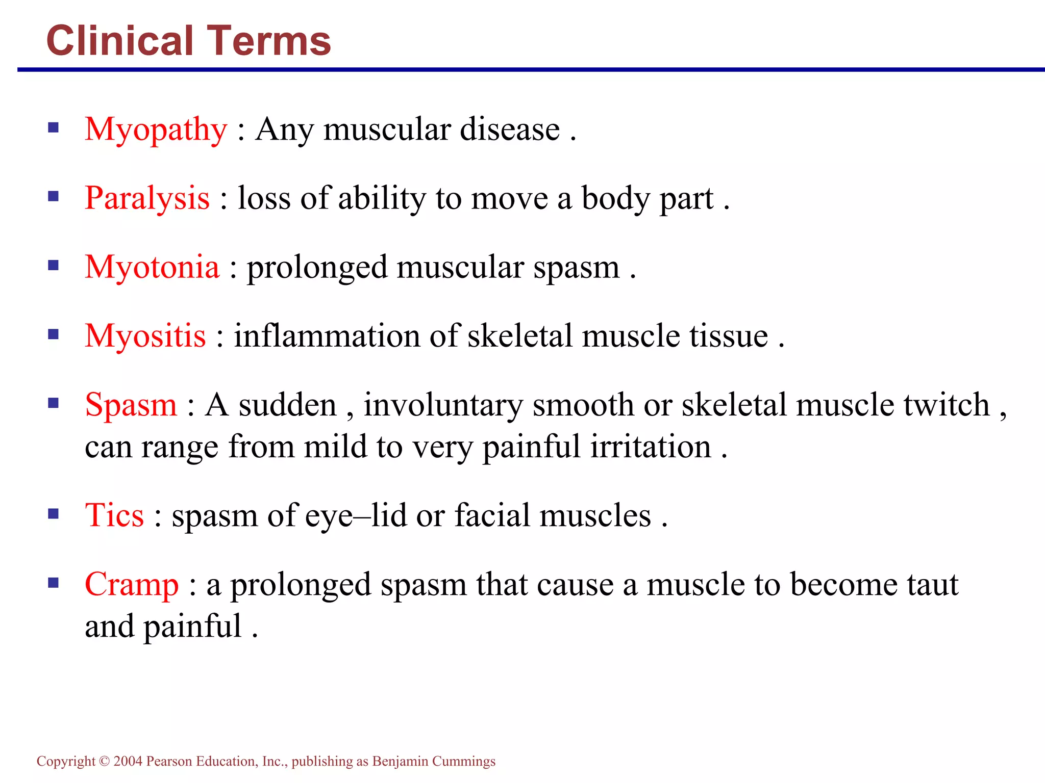 Functions of the muscular system | PDF