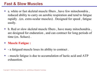 Functions of the muscular system | PDF