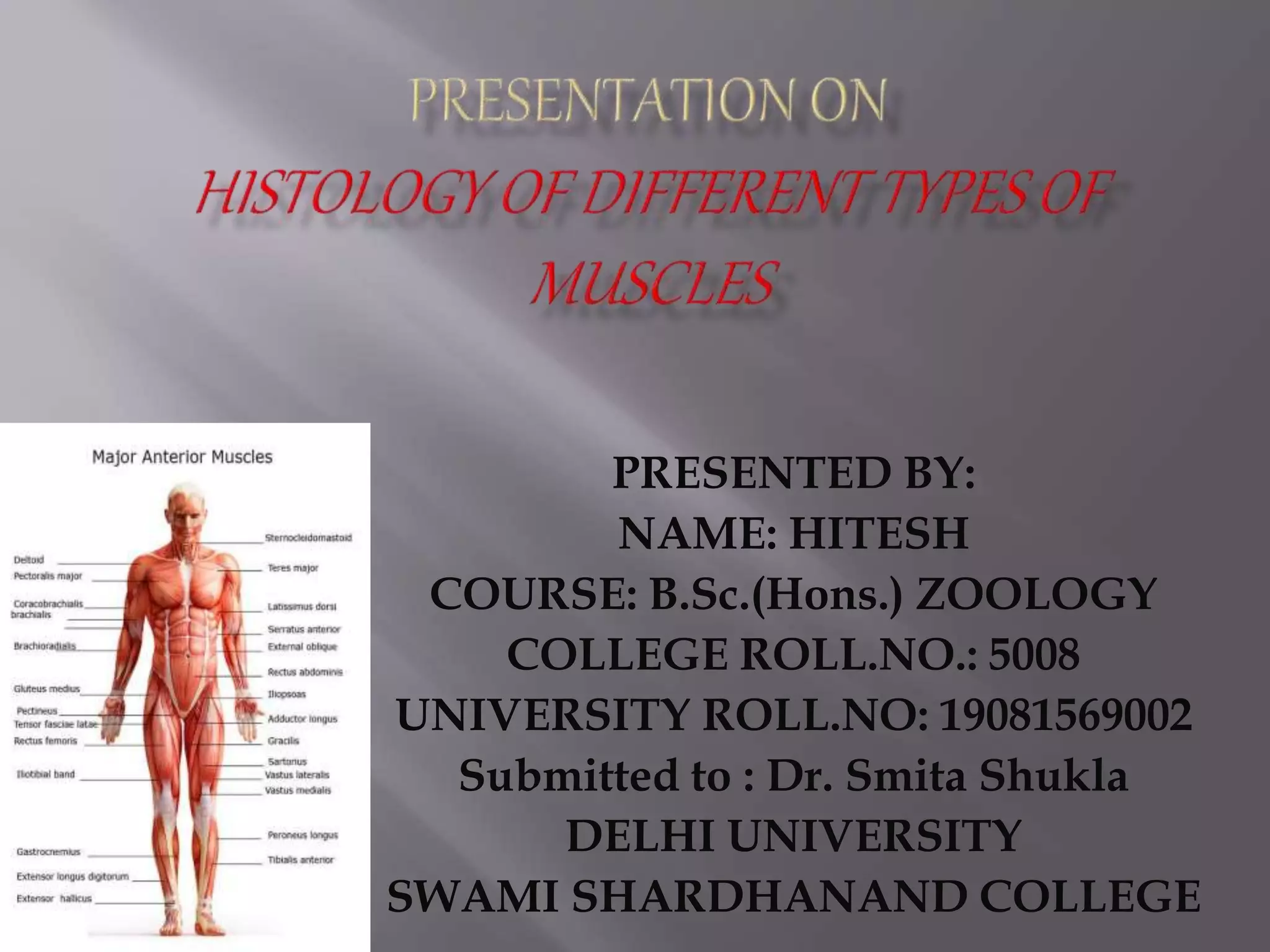 Structure and histology of different types of muscles | PPTX