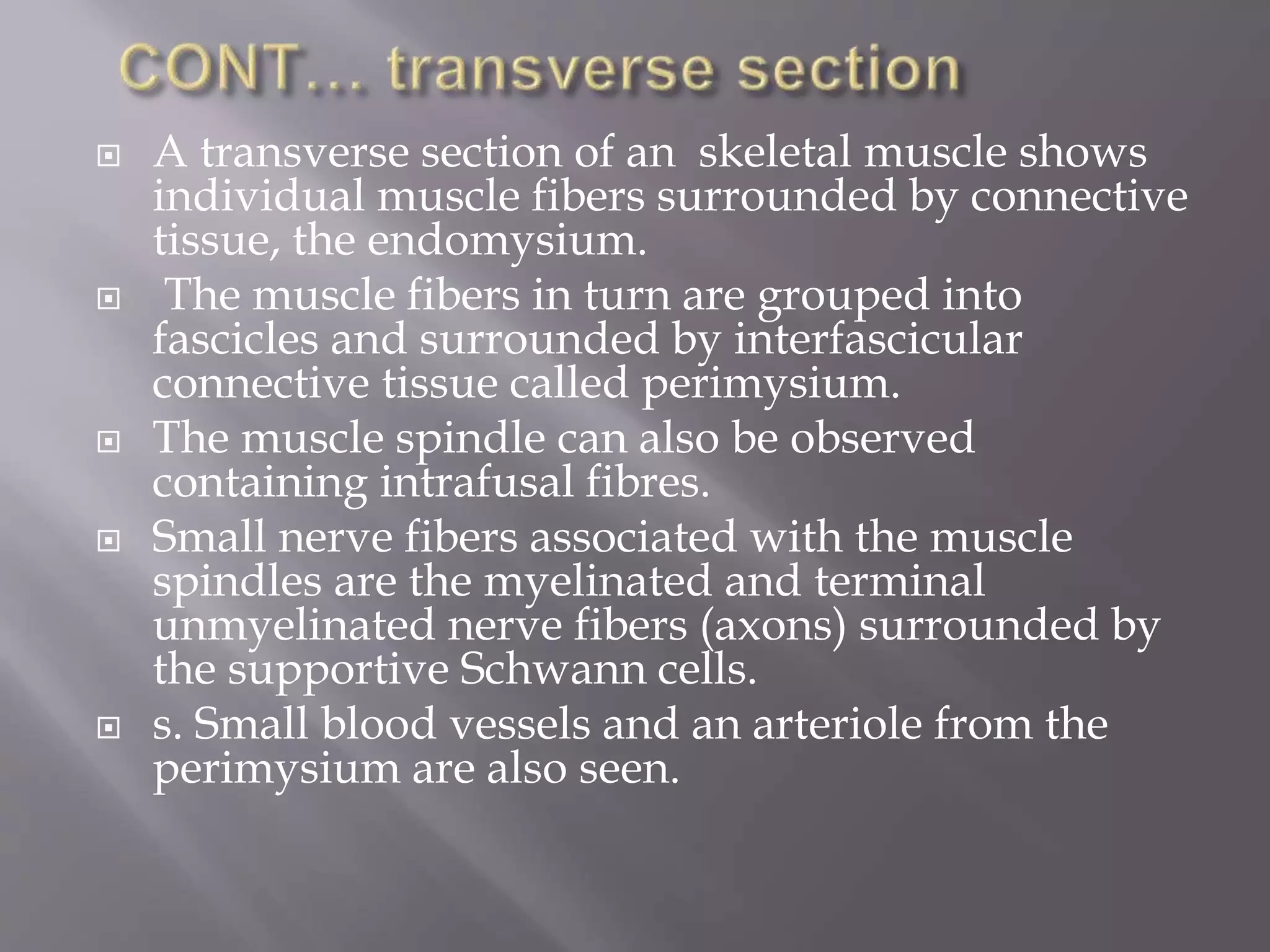 Structure and histology of different types of muscles | PPTX