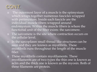 Structure and histology of different types of muscles | PPTX