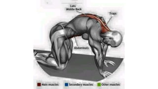 Muscles -A LONG CHART ON IMAGES OF DIFFERENT MUSCLES- Myology ...