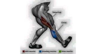 Muscles -A LONG CHART ON IMAGES OF DIFFERENT MUSCLES- Myology ...