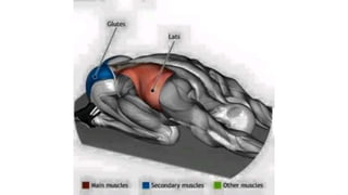 Muscles -A LONG CHART ON IMAGES OF DIFFERENT MUSCLES- Myology ...