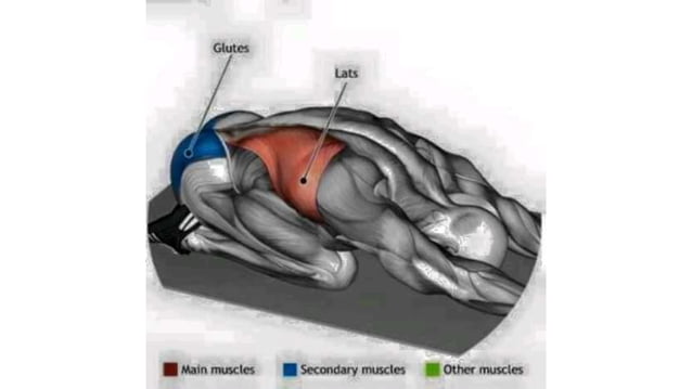 Muscles -A LONG CHART ON IMAGES OF DIFFERENT MUSCLES- Myology ...
