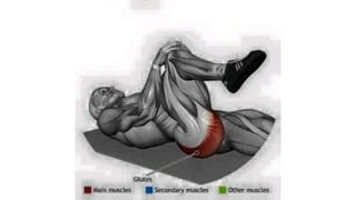 Muscles -A LONG CHART ON IMAGES OF DIFFERENT MUSCLES- Myology ...