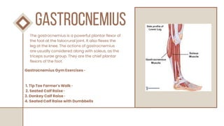 MUSCLES.pdf