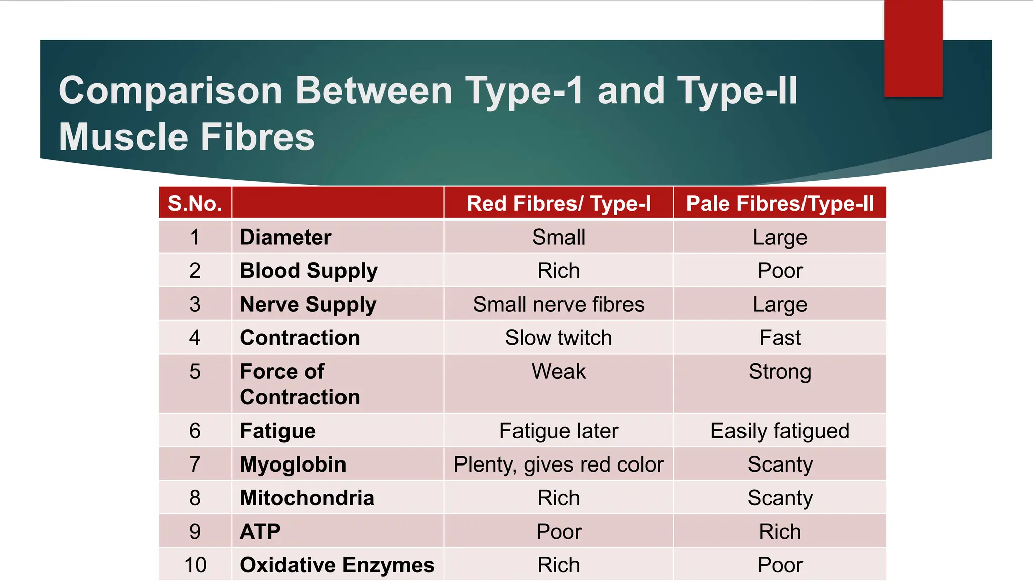 MUSCLES OF HUMAN BODY GENERAL ANATOMY .pptx | Death, Injury, or ...