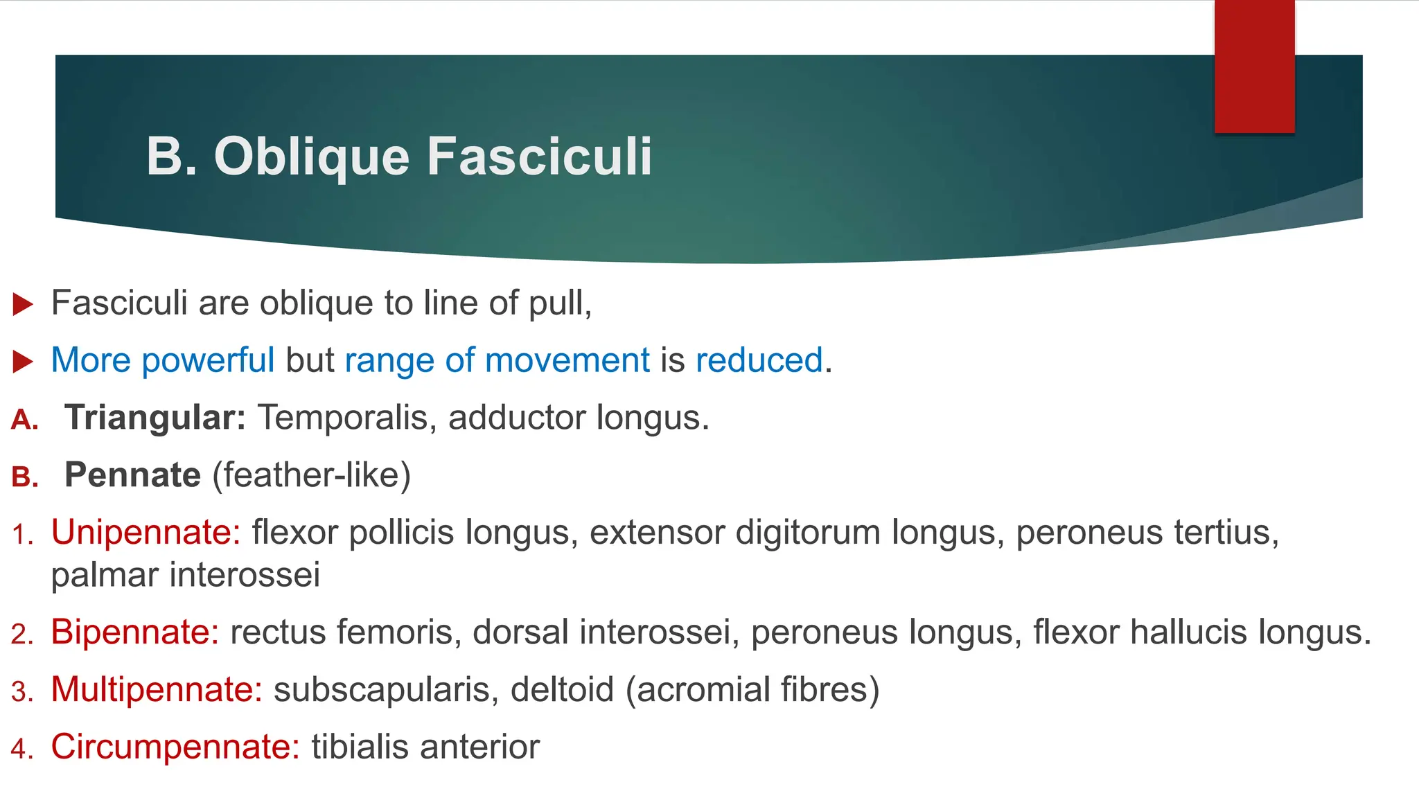 MUSCLES OF HUMAN BODY GENERAL ANATOMY .pptx