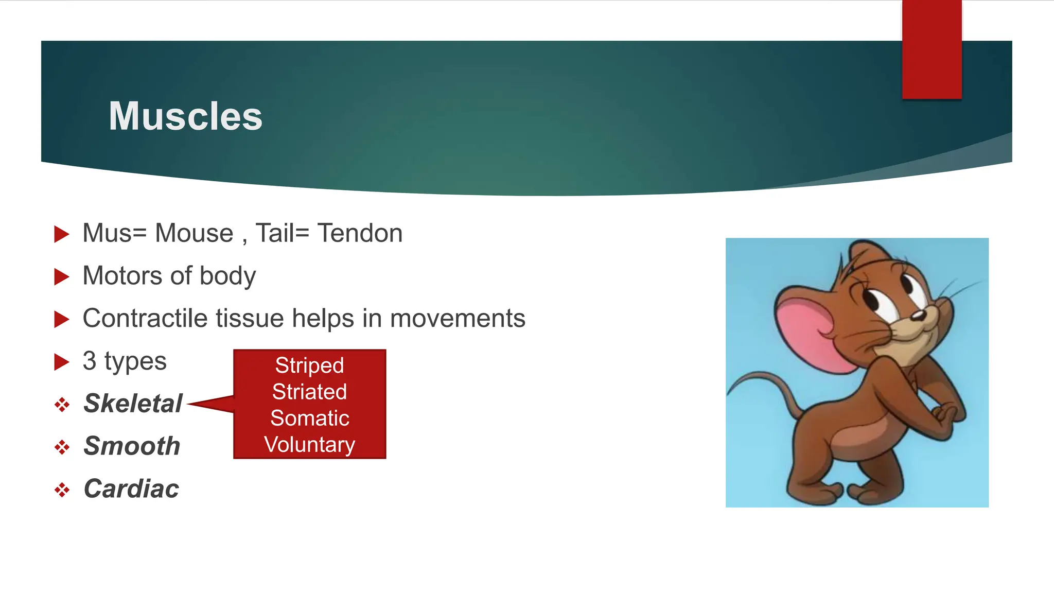 MUSCLES OF HUMAN BODY GENERAL ANATOMY .pptx