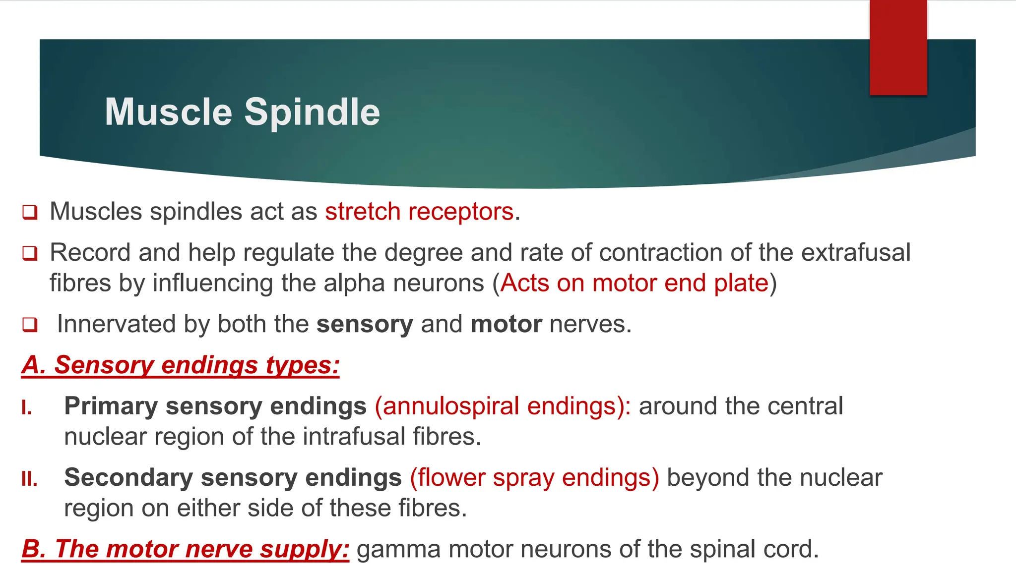 MUSCLES OF HUMAN BODY GENERAL ANATOMY .pptx
