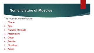 MUSCLES OF HUMAN BODY GENERAL ANATOMY .pptx