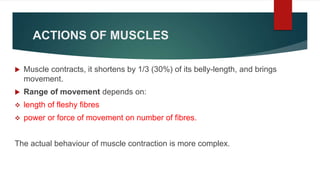 MUSCLES OF HUMAN BODY GENERAL ANATOMY .pptx