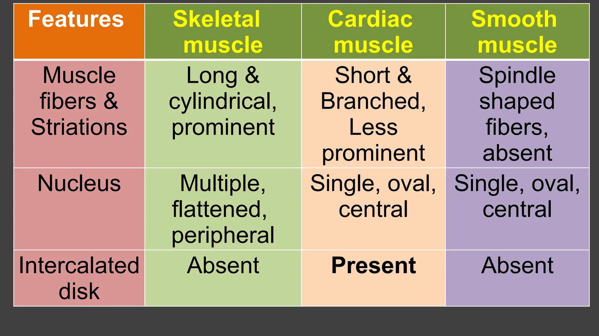 Muscles presentation by Dr ela kinra anatomy | PPTX | Physical Therapy ...