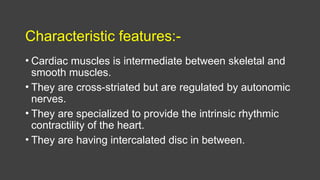 Muscles presentation by Dr ela kinra anatomy | PPTX