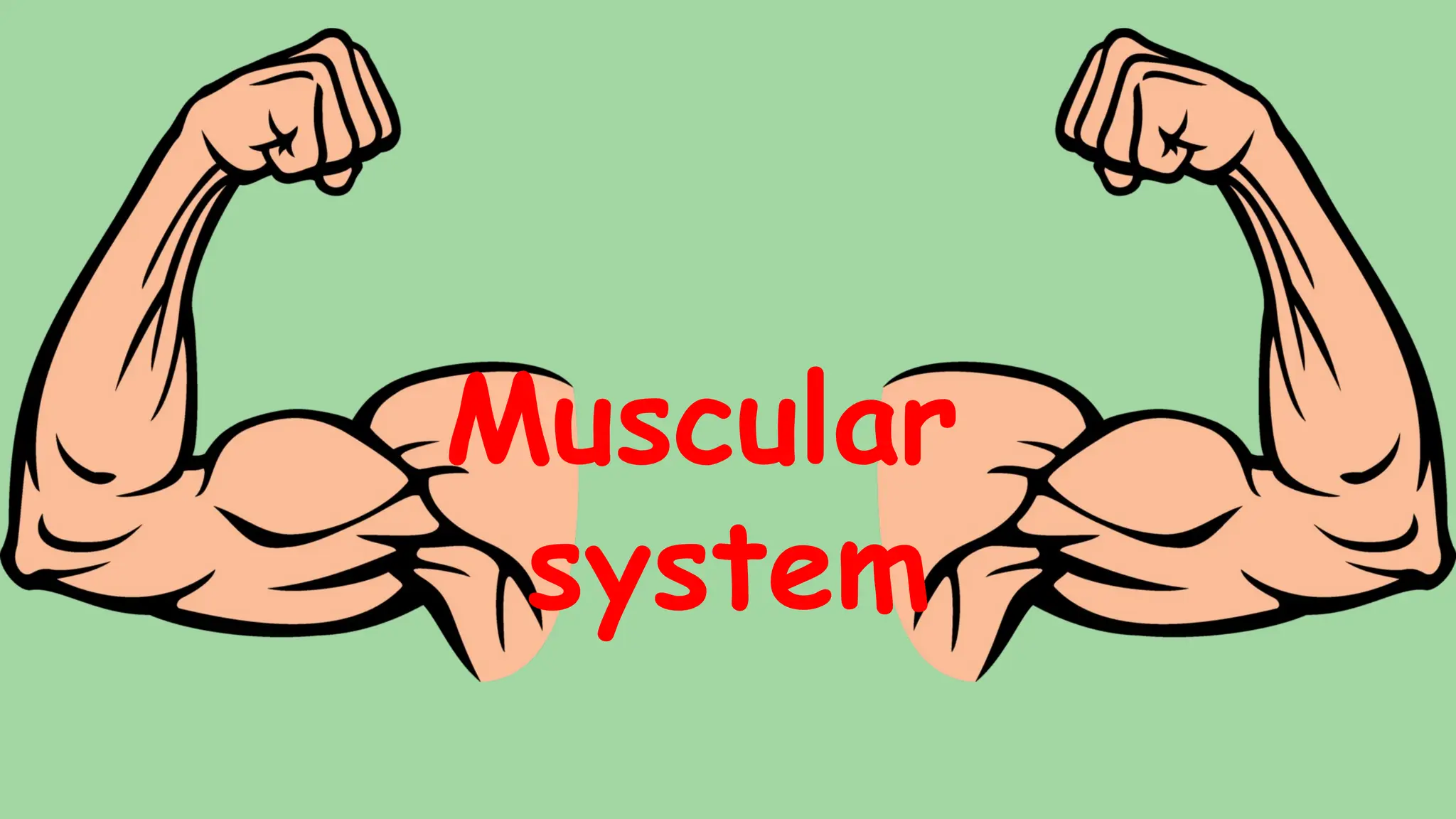 how do muscles work PowerPoint contains Gifs | PPT