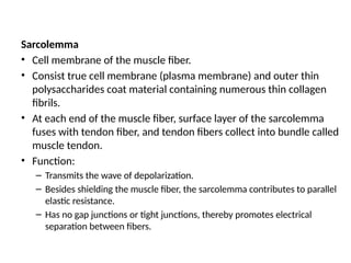 MUSCLES: skeletal, cardiac and smooth muscles | PPTX