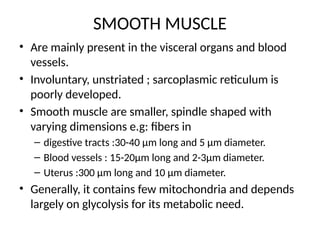 MUSCLES: skeletal, cardiac and smooth muscles | PPTX