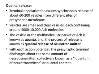 MUSCLES: skeletal, cardiac and smooth muscles | PPTX | Bodybuilding ...