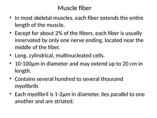 MUSCLES: skeletal, cardiac and smooth muscles | PPTX