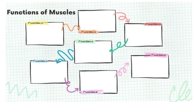 importance of muscular system, body parts | PPTX