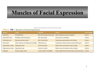 Muscles.power point presentation for anatomy | PPT