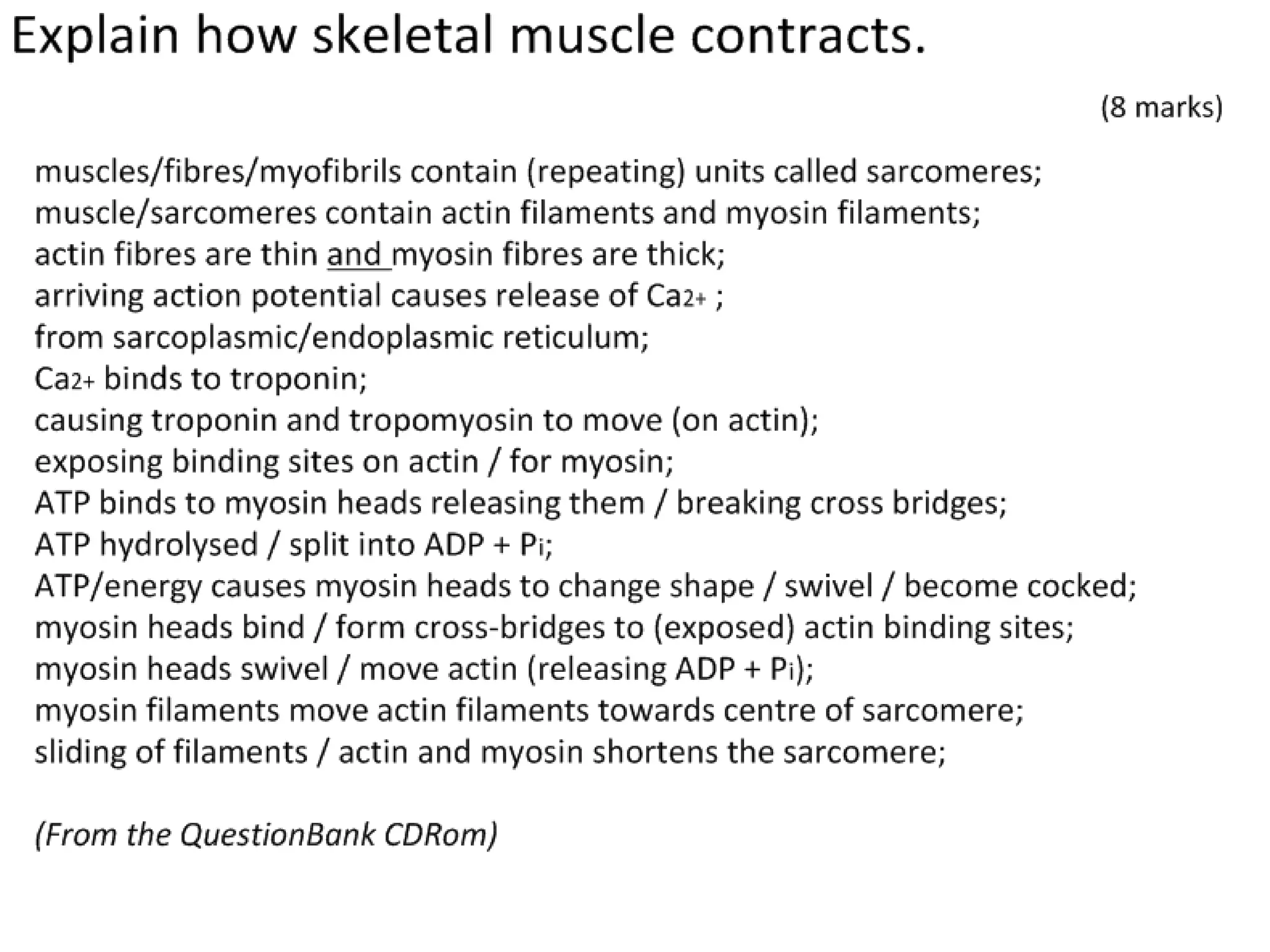 Muscles and Movement | PDF