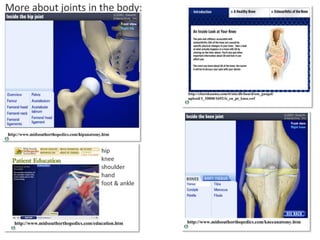 Muscles and Movement | PDF