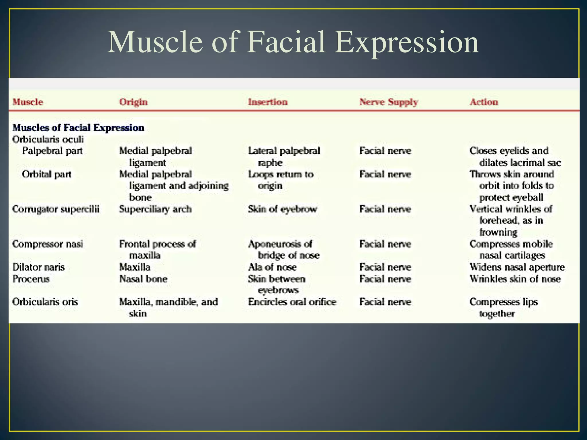 Muscles of face | PDF