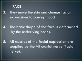 Muscles of face | PDF