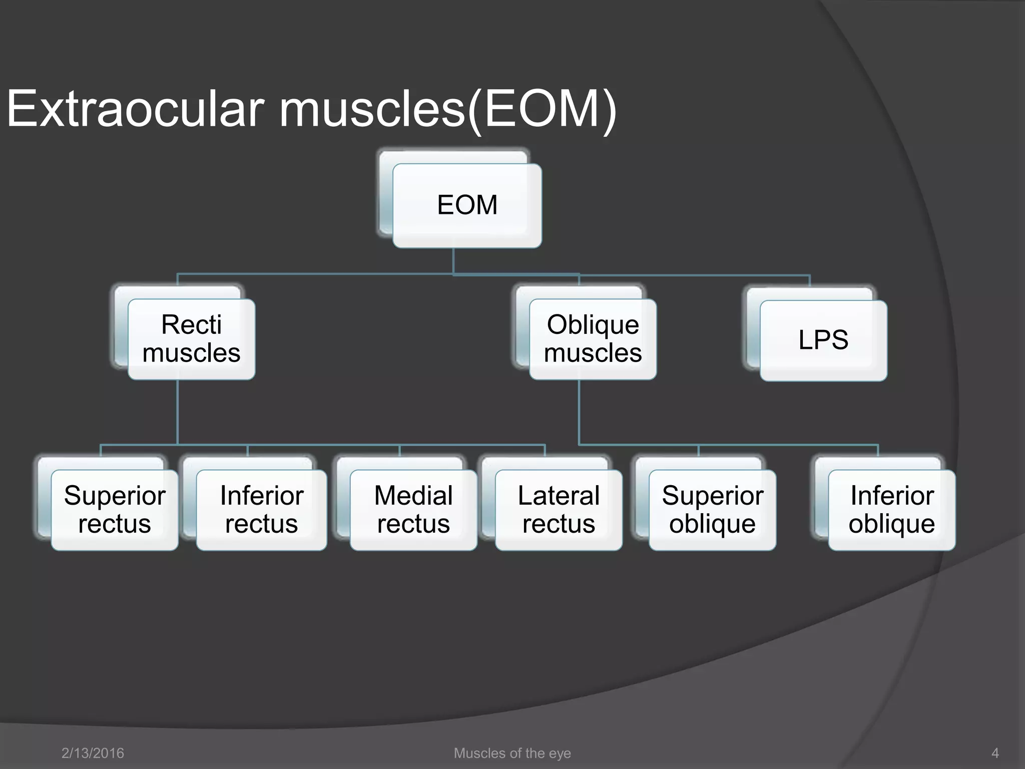 Muscles of the eye | PPTX