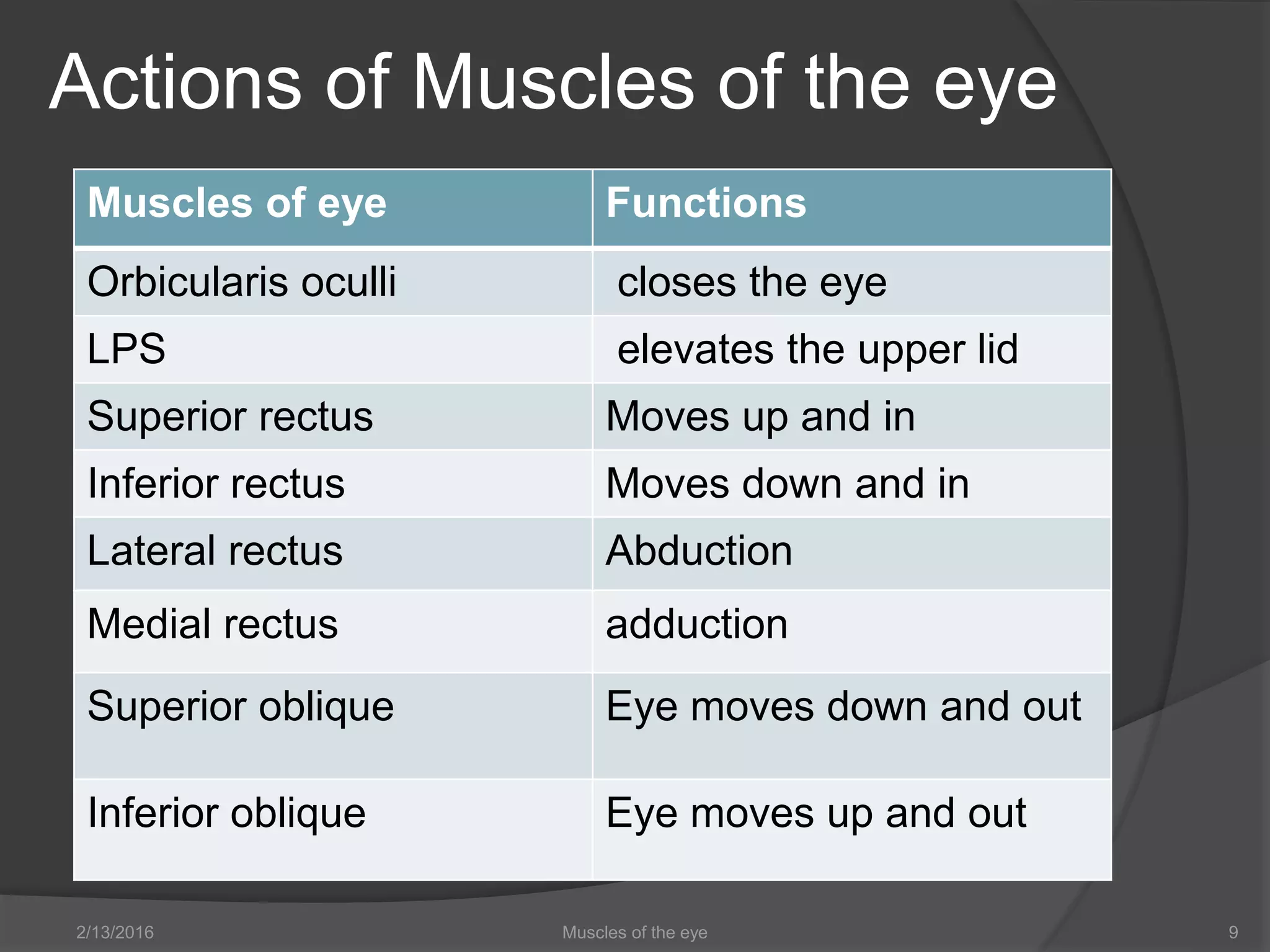 Muscles of the eye | PPTX