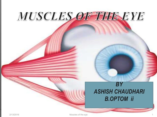 Muscles of the eye | PPTX | Eye and Vision Conditions | Diseases and ...