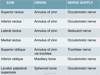 Muscles of the eye | PPTX