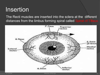 Muscles of the eye | PPTX