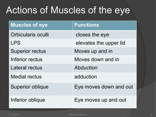 Intrinsic Eye Muscles
