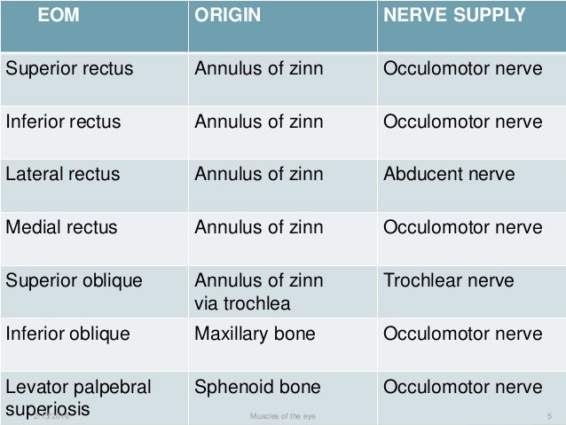 Muscles of the eye