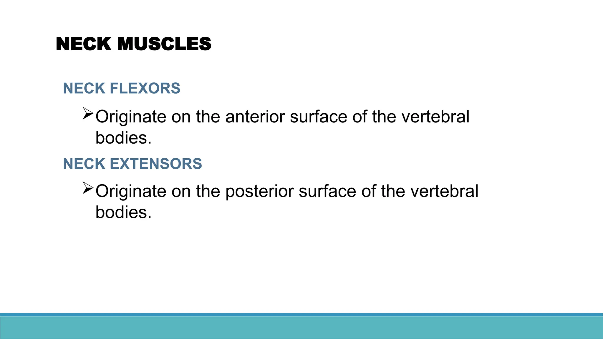 MUSCLES-OF-THE-HEAD-NECK-GROUP1....pptxx | PPTX