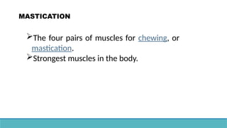MUSCLES-OF-THE-HEAD-NECK-GROUP1....pptxx | PPTX