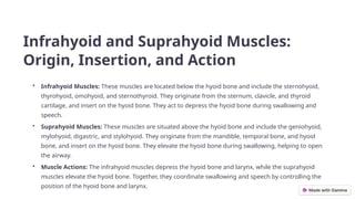 Muscles-of-the-Neck.-pptx -from- Anatomy | PPTX