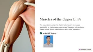 Muscles-of-the Upper-Limb By Rohit steeva .pptx