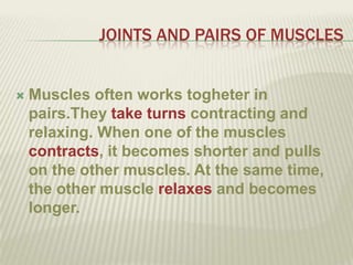 Muscles and bones | PPTX