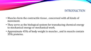 Muscles and excercise.pptx