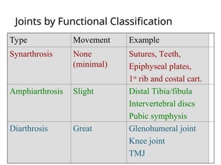 Presentation on Muscles and Joints for Medical Purposes | PPT