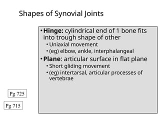 Presentation on Muscles and Joints for Medical Purposes | PPT