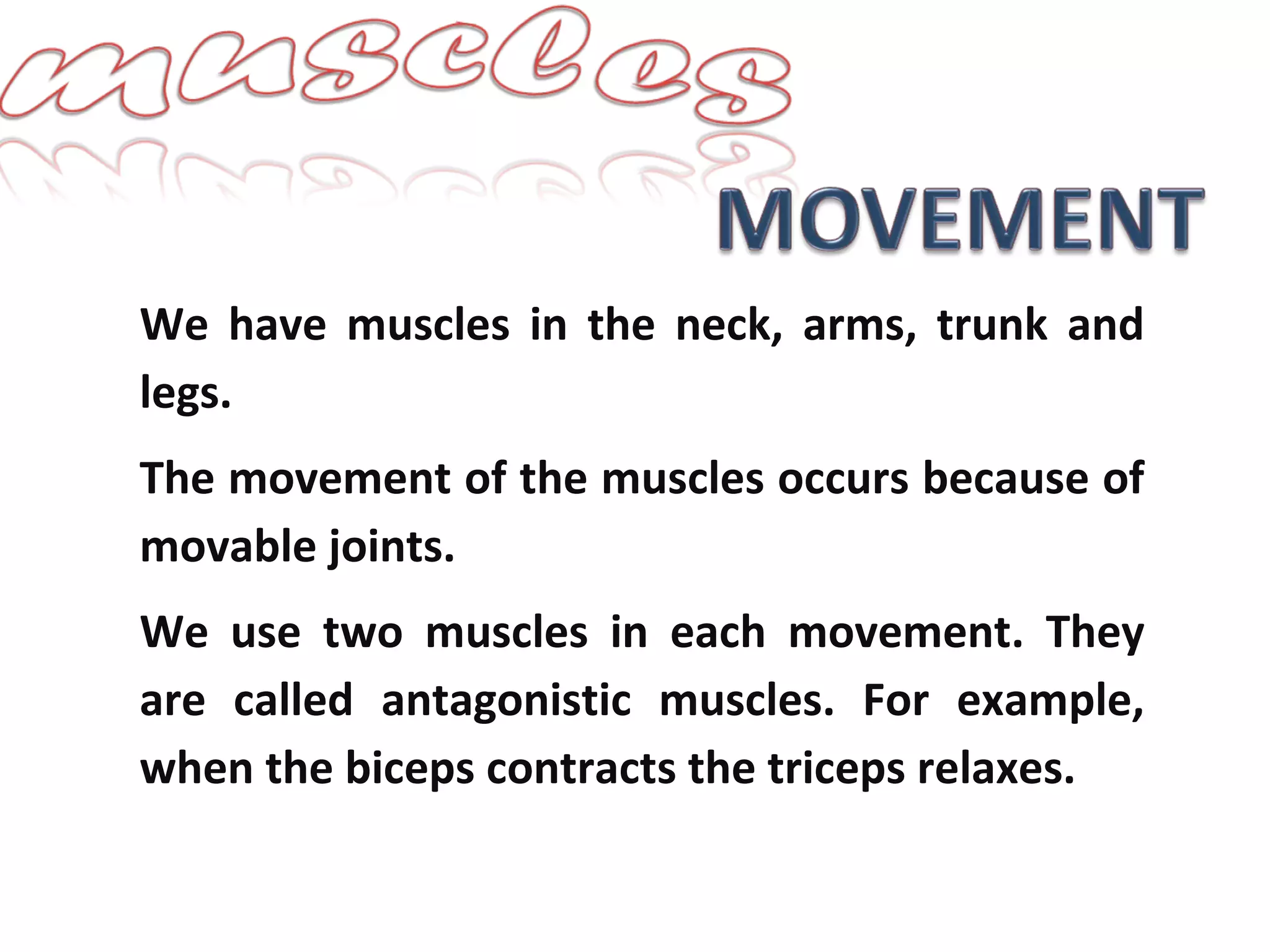 Muscles and movement | PPT