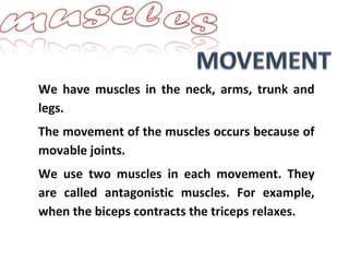 Muscles and movement | PPT