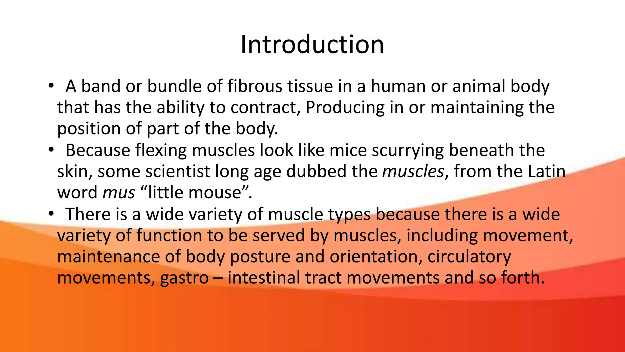 Muscles and Muscle Tissue | PPT