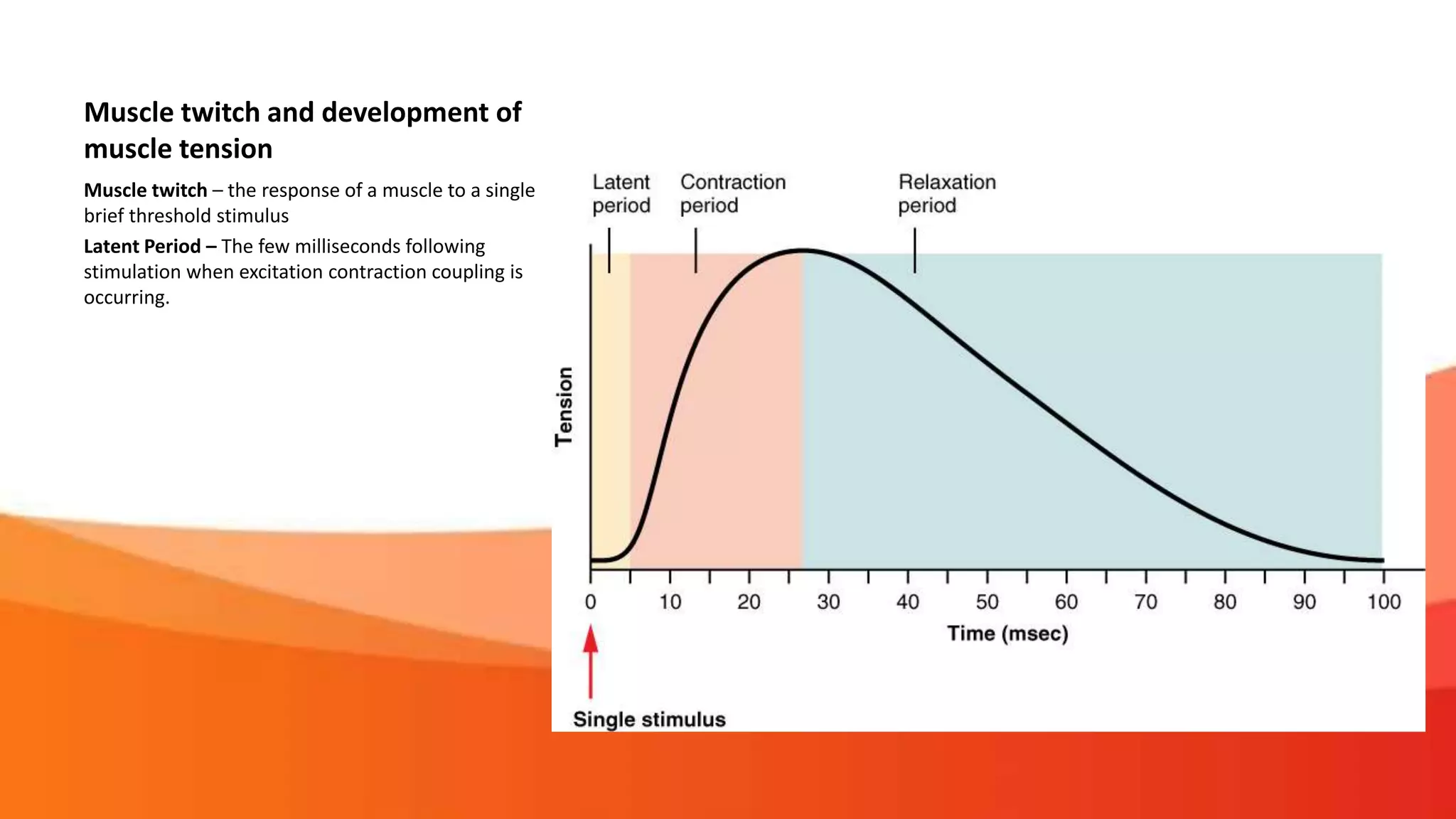Muscles and Muscle Tissue | PPTX