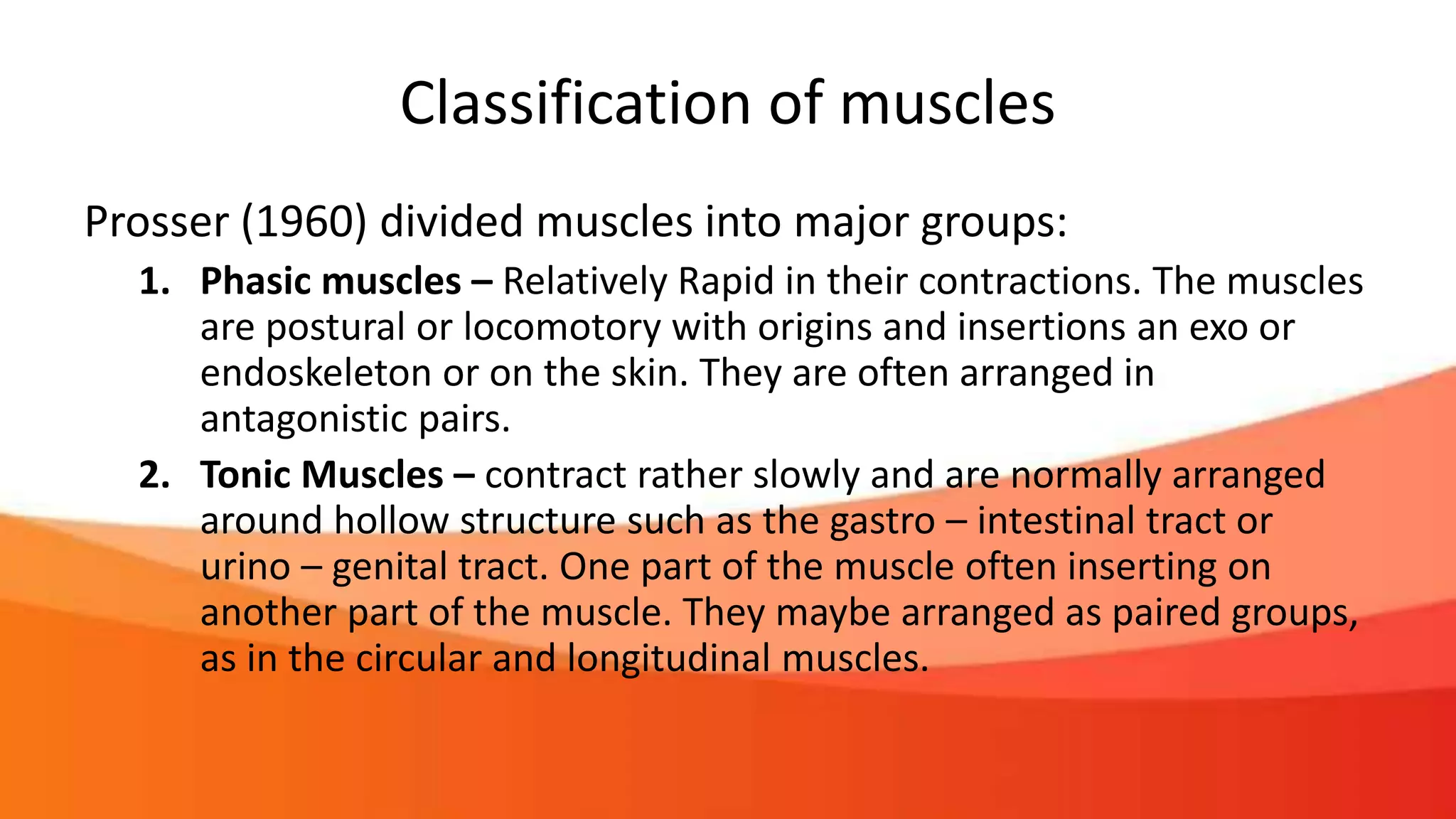 Muscles and Muscle Tissue | PPT